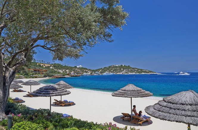 New Locations – Alamer US